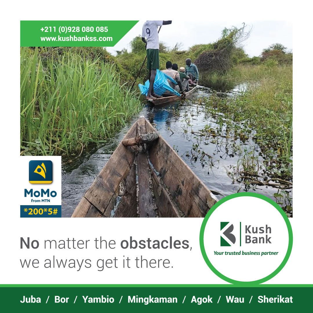 Board of Directors - Kush Bank PLC